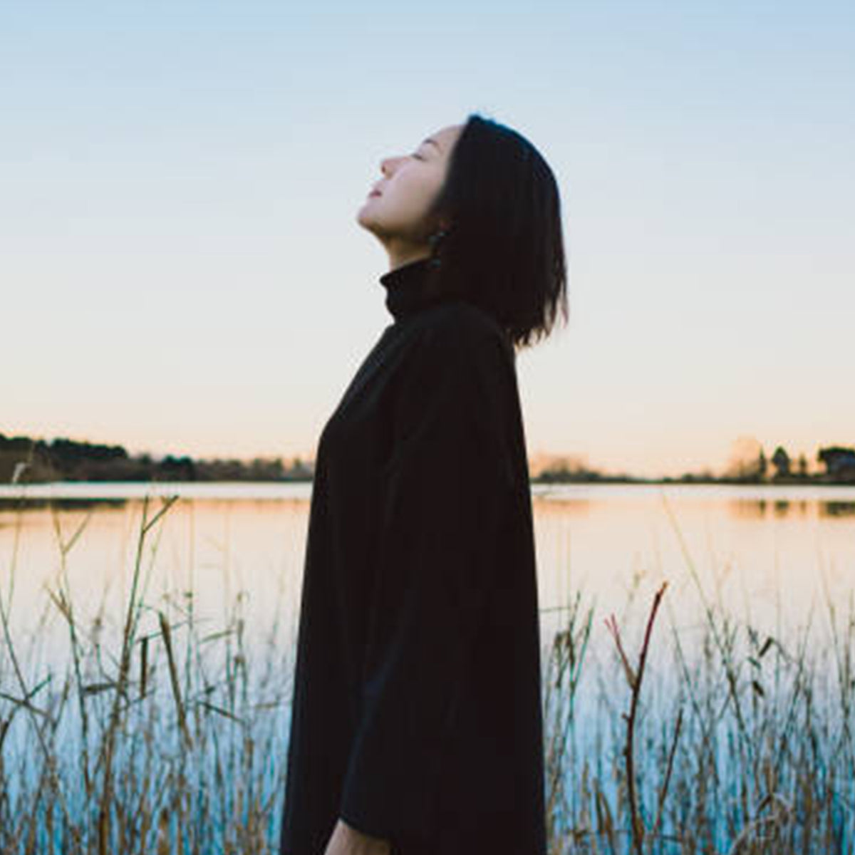 Channeling Your Creative Muse – Limelight Publishing